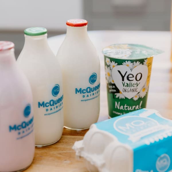 McQueens Milk Locker | Cool Box for Keeping Milk Fresh & Safe