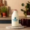 Whole Milk in Glass Bottle | 1 Pint | McQueens Dairies